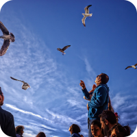 RENMAR TOURS & TRANSFERS